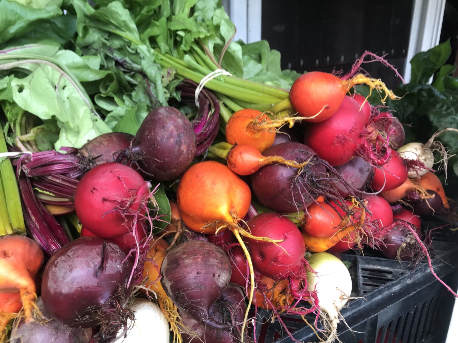 Farm Gallery - HeartBeet Farms